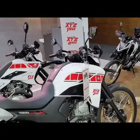 yamaha rally 250 1 (1)